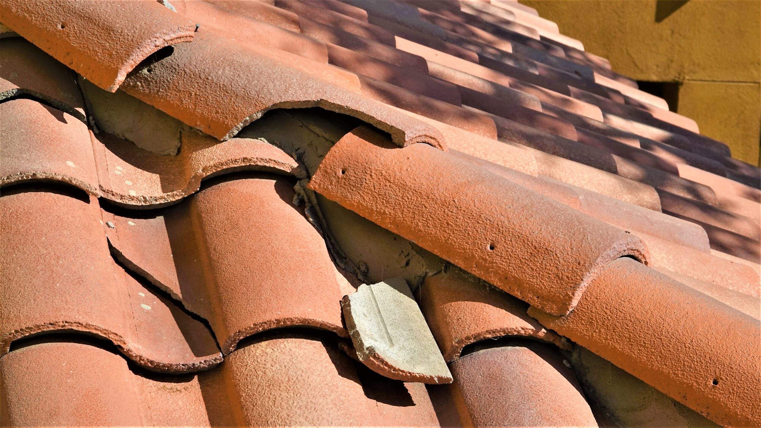 Home - Coronado Roof Care